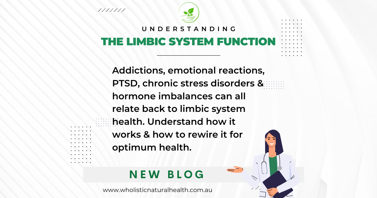 Understanding The Limbic System Function | Wholistic Natural Health